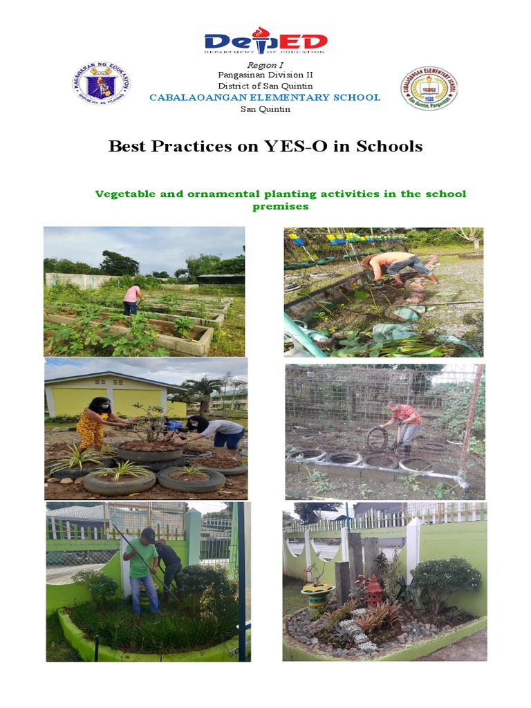 Best Practices On YES O in Schools | PDF