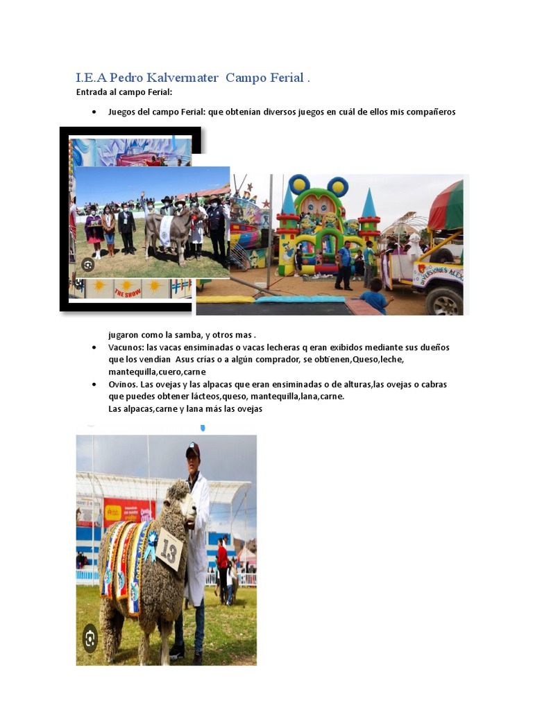 I.E.A Pedro Kalvermater Campo Ferial | PDF