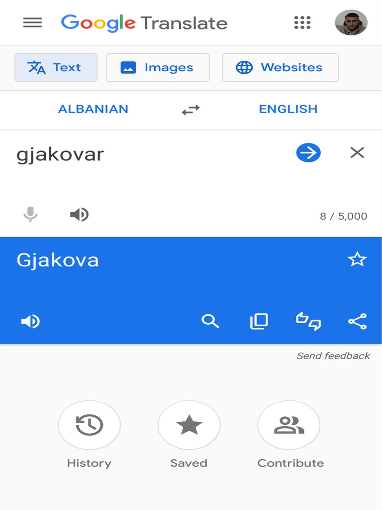 Google Translate | PDF