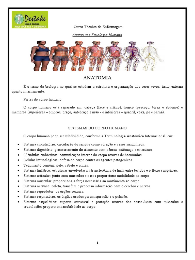 Apostila De Anatomia Pdf Anatomia Anatomia Humana