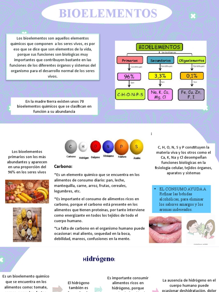 Importancia de los Bioelementos en la Salud | PDF | Alimentos | Organismos