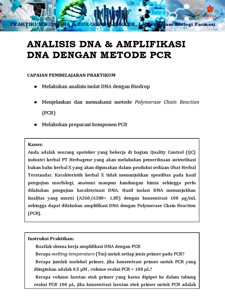 Lembar Kerja BMB, PCR, 2023 | PDF