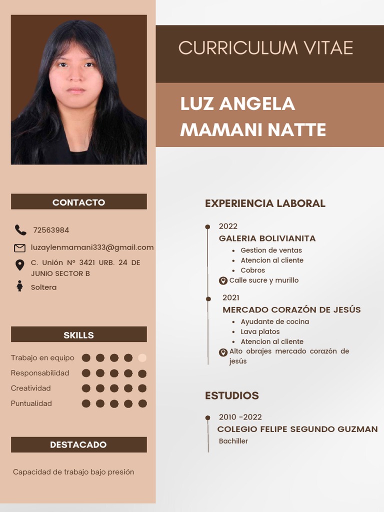 Curriculum Vitae de Luz Angela Mamani | PDF