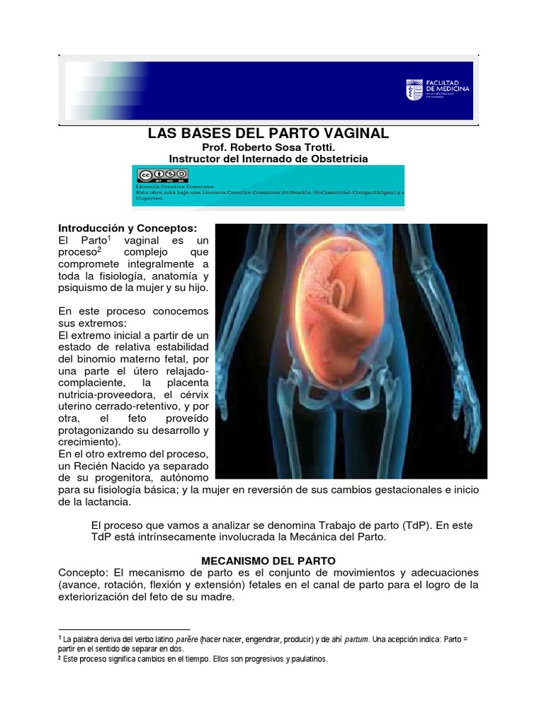 Las Bases Del Parto Normal 2 | PDF | Parto | Pelvis