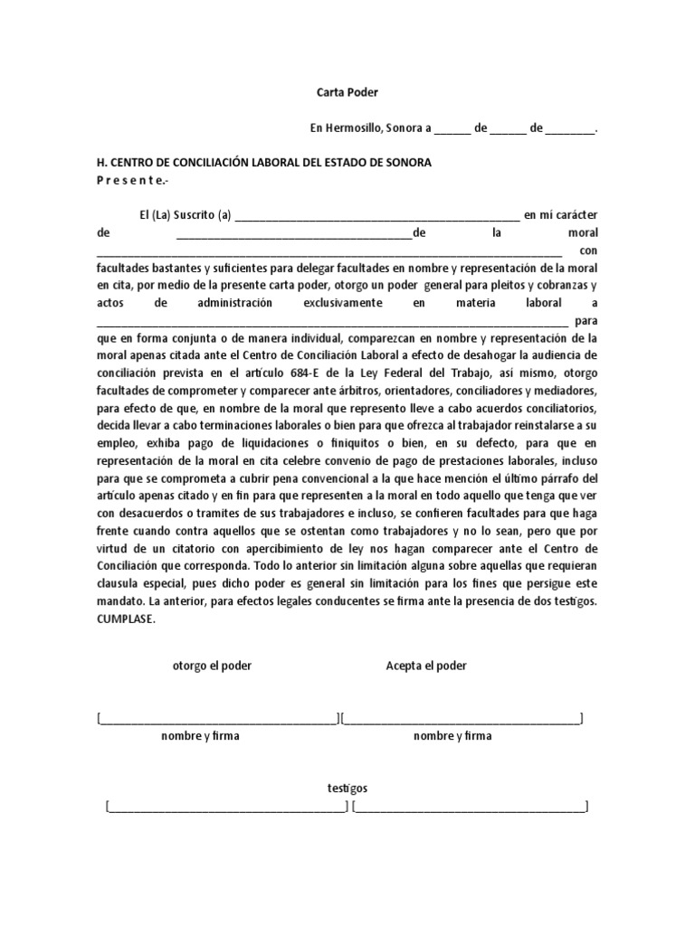 carta poder persona moral | PDF | Justicia | Crimen y violencia