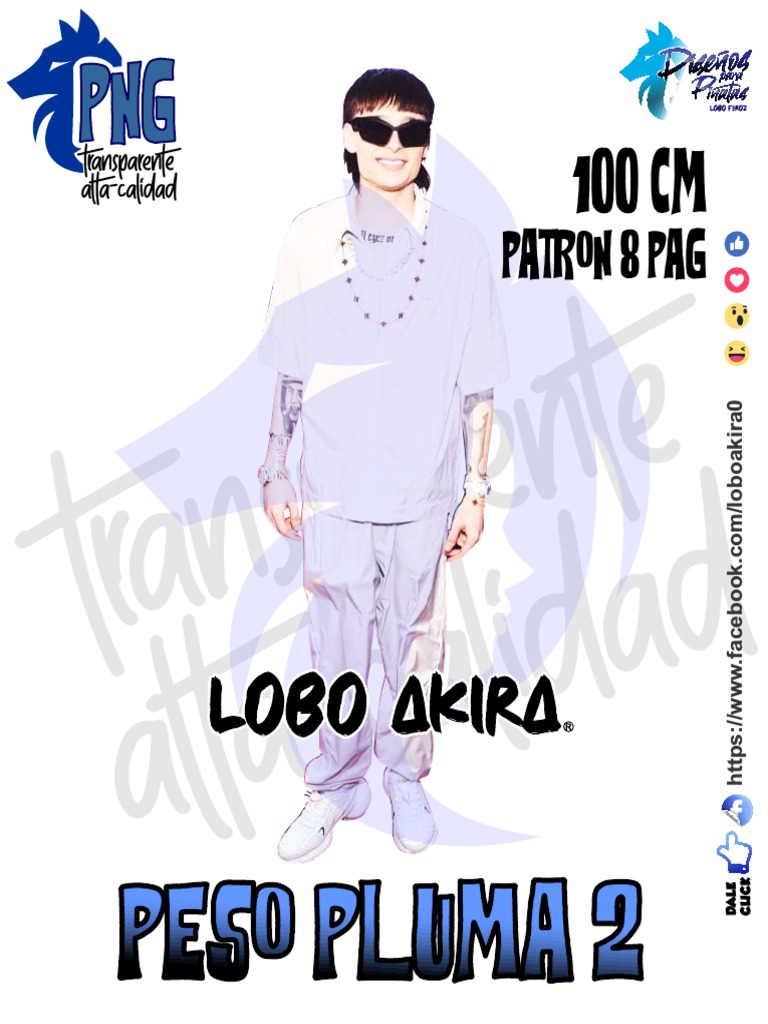 Patrón de Lectura Transparente | PDF