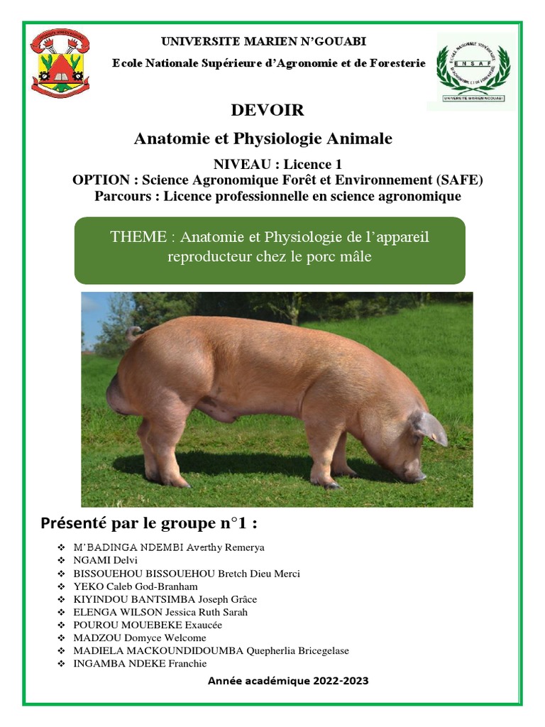 Devoir Anatomie Et Physiologie Animale: THEME: Anatomie Et Physiologie ...