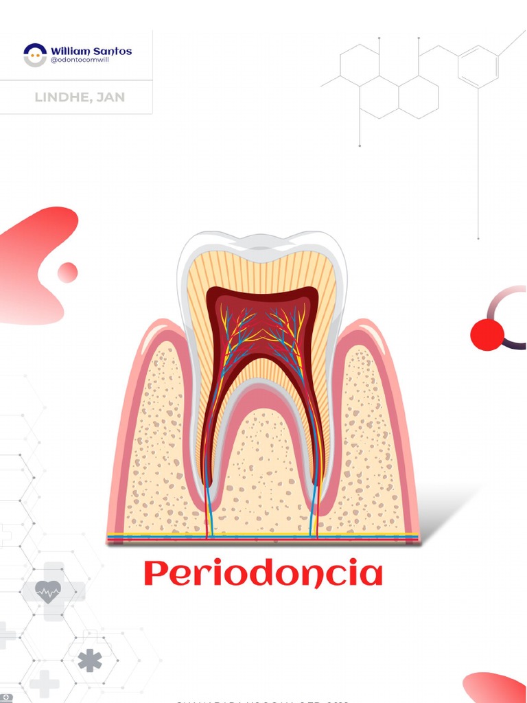 Anatomía del Hueso Alveolar y Encía | PDF | Hueso | Epitelio