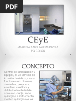 CEYE | PDF | Hospital