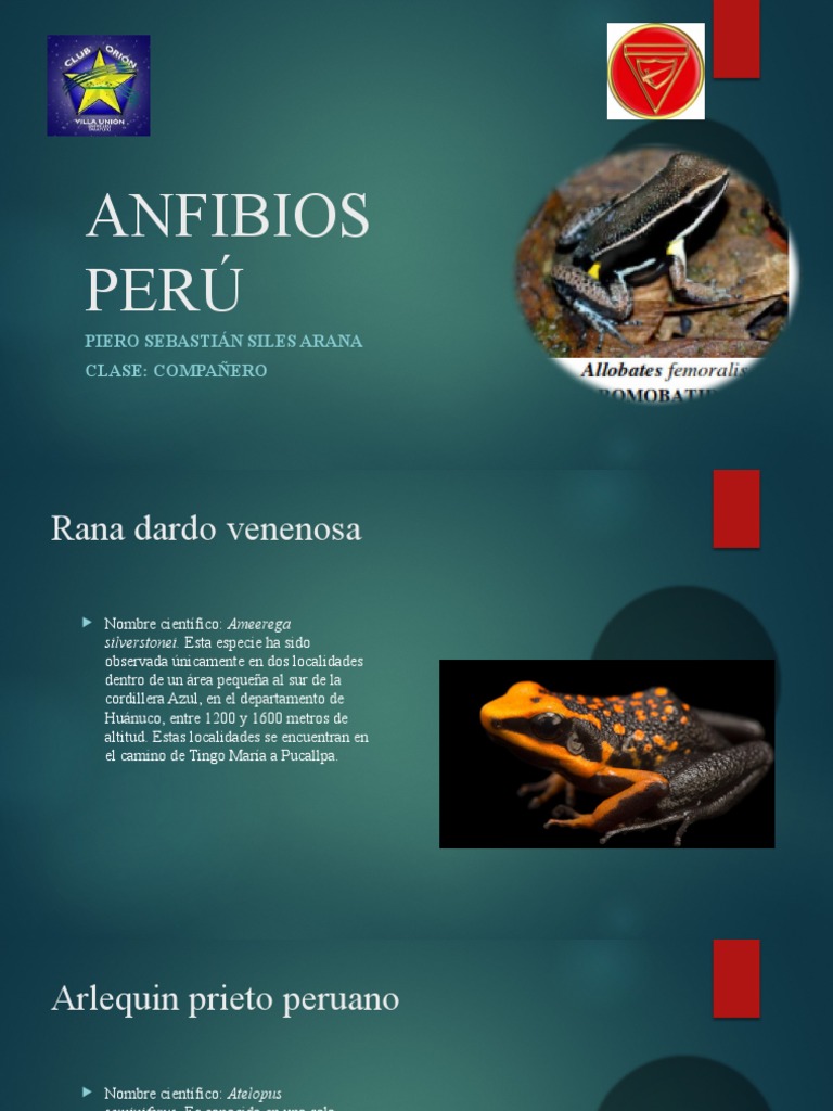 ANFIBIOS | PDF | Anfibio | Ciencias de la Tierra