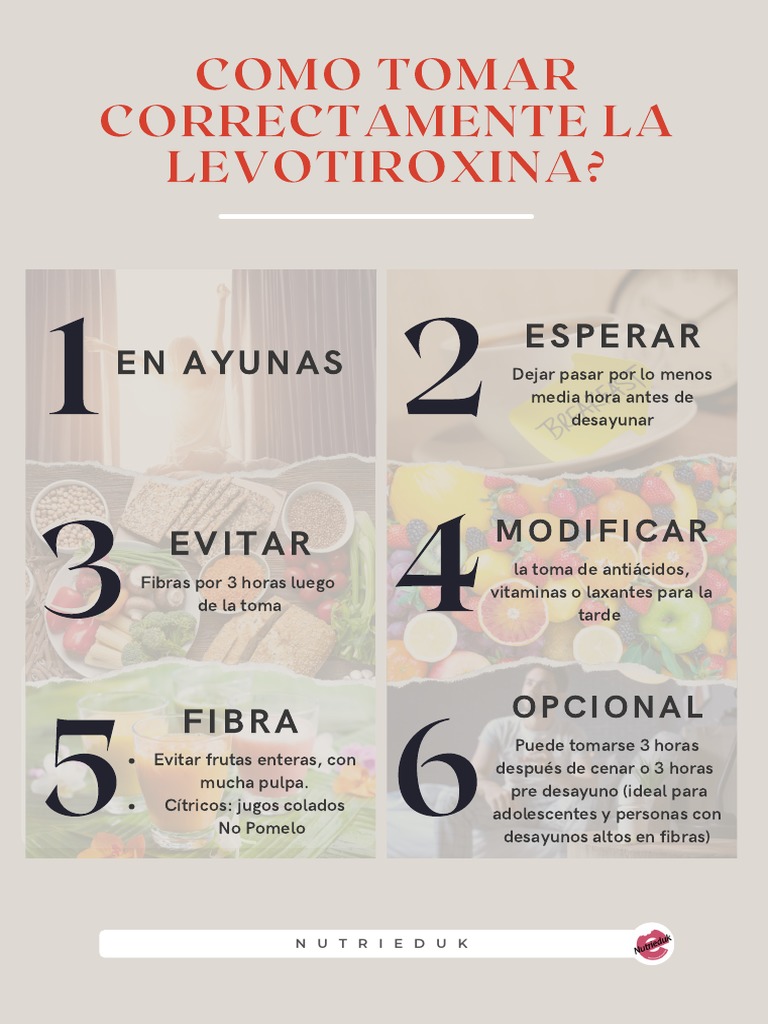 Levo | PDF