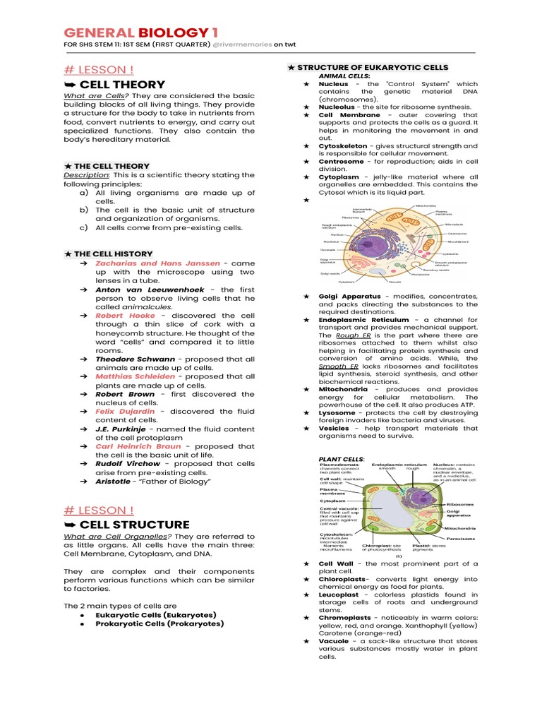 Stem 11 - Genbio 1 Notes | PDF | Meiosis | Mitosis