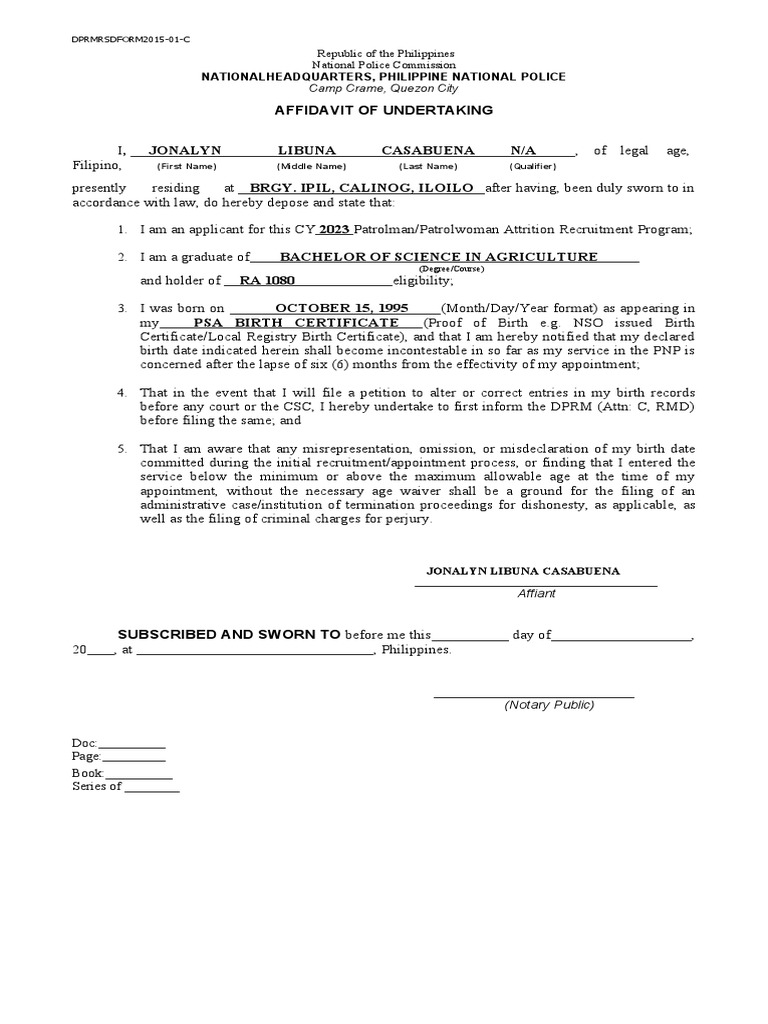 Affidavit of Undertaking | PDF | Affidavit | Public Law