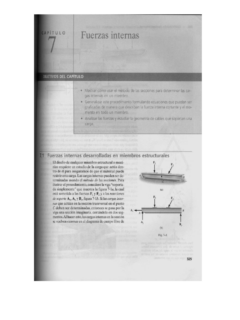 Russel Hibbbeler Cap7 | PDF