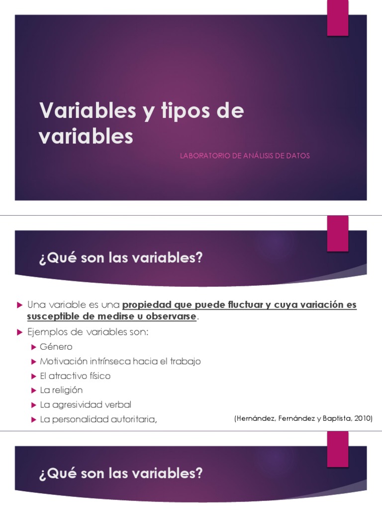 Variables y Tipos de Variables | PDF