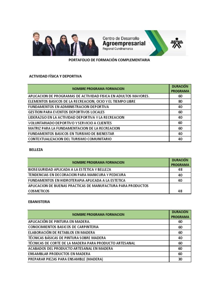 Portafolio Cursos Complementarios 2020 | PDF | Microsoft Excel | Alimentos