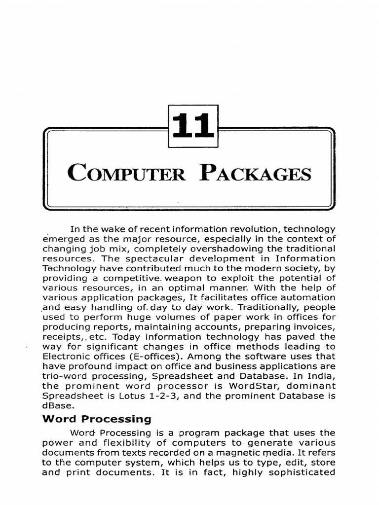 Chapter 11 - Computer Packages | PDF | Microsoft Excel | Spreadsheet