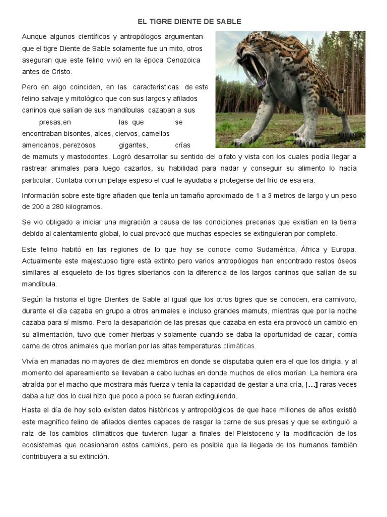 El Tigre Diente de Sable | PDF | Tigre | Felidae