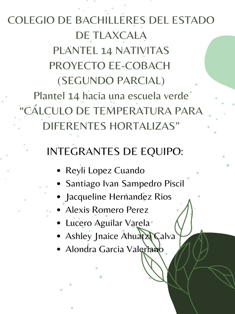 Proyecto Ee Cobach | PDF | Siembra | Lechuga