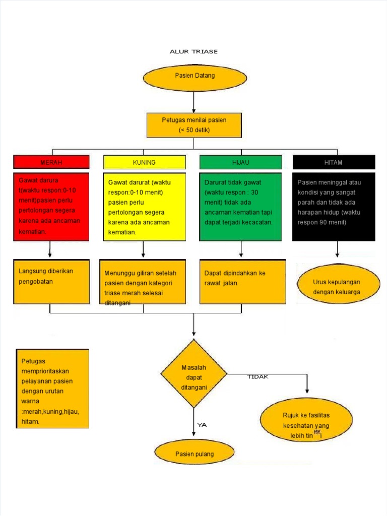 PDF Alur Triase | PDF