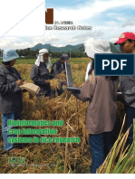 Rice Myth | PDF | Rice | Hunting