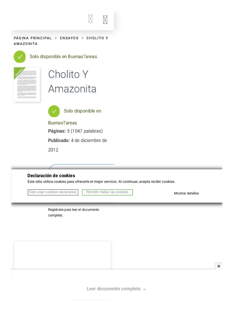 Cholito Y Amazonita - Ensayos - 1047 Palabras | PDF | Cookie HTTP