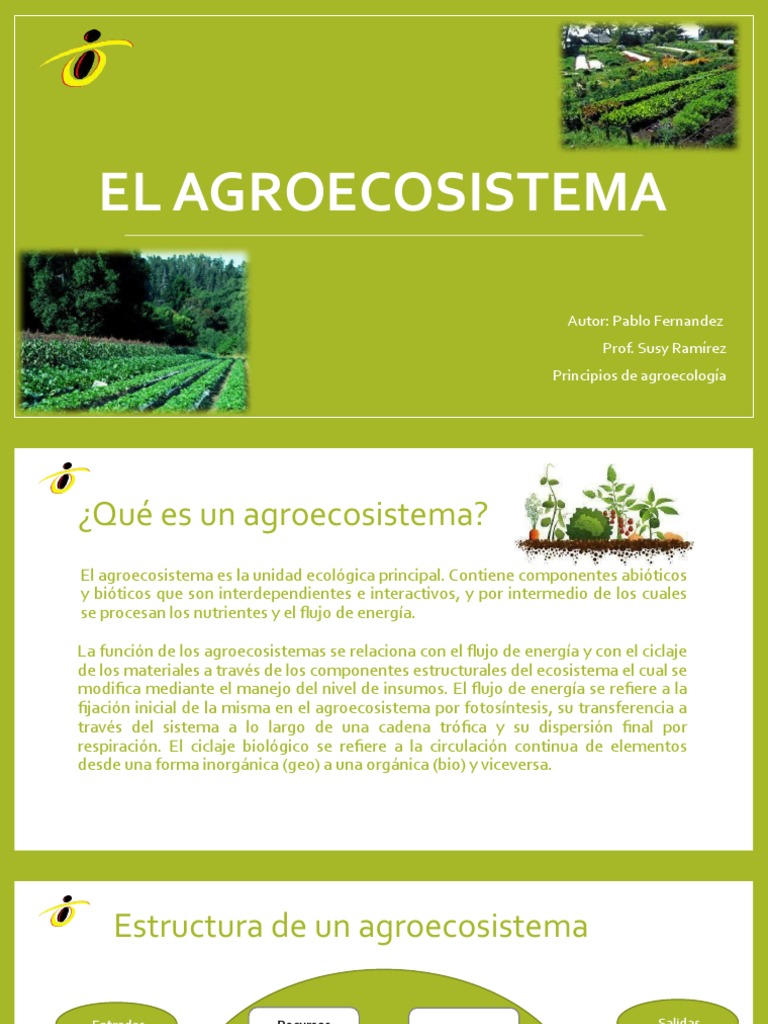 Definición y Estructura del Agroecosistema | PDF