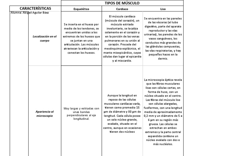 Tipos de Musculos | PDF | Músculo esquelético | Corazón