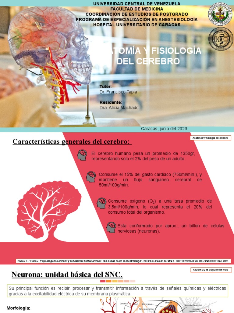 Anatomia y Fisiologia Del Cerebro | PDF | Fluido cerebroespinal | Cerebro