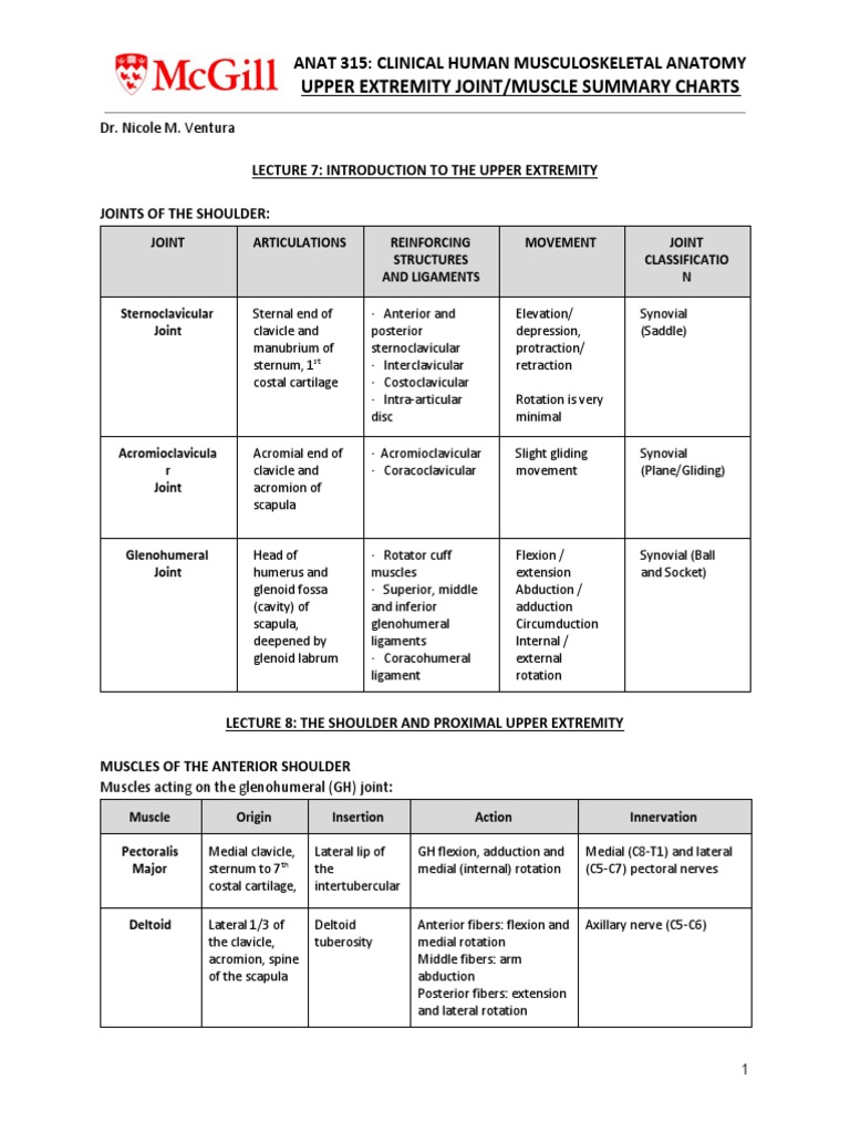 Upper Extremity - Muscle Summary Chart | PDF