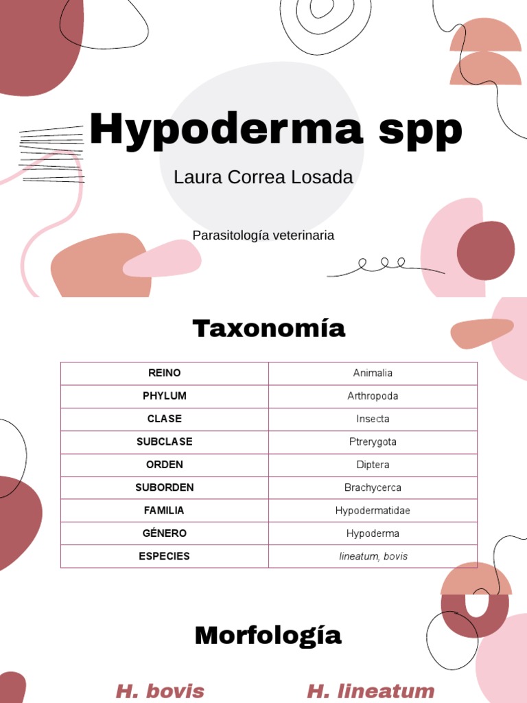Hypoderma spp | PDF | Especialidades Medicas | Medicina CLINICA