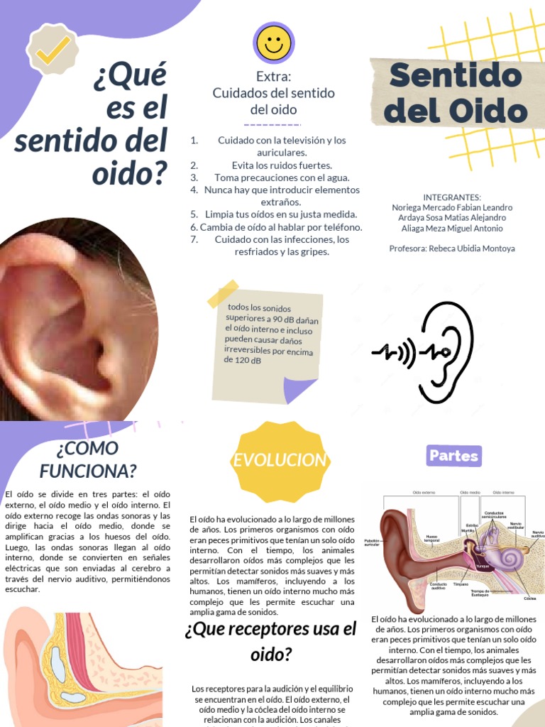 sentido del oido | PDF | Oído | Escuchando