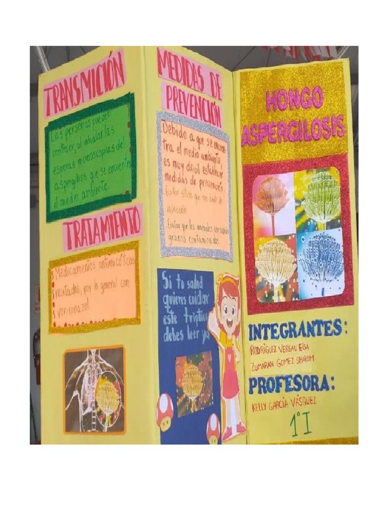 Ciencia y Tecnología Tríptico | PDF