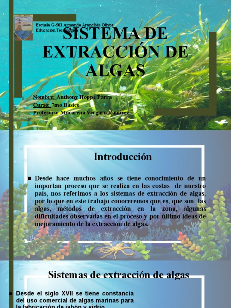 Sistema de Extracción de Algas | PDF