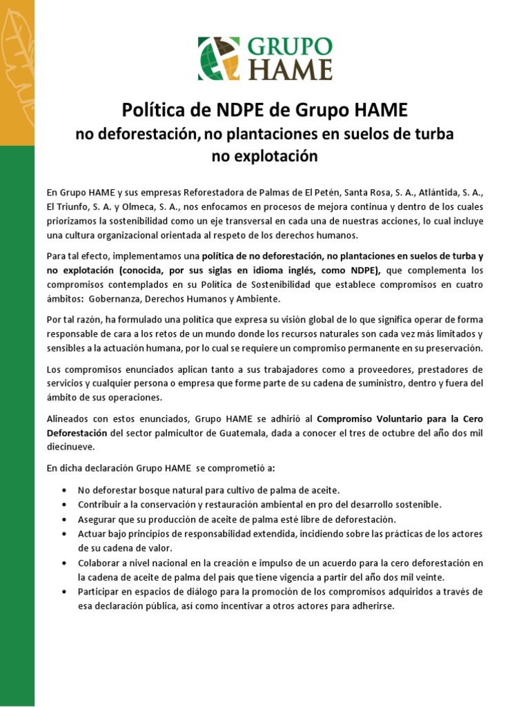 Política NDPE de Grupo HAME | PDF | Derecho laboral | Deforestación