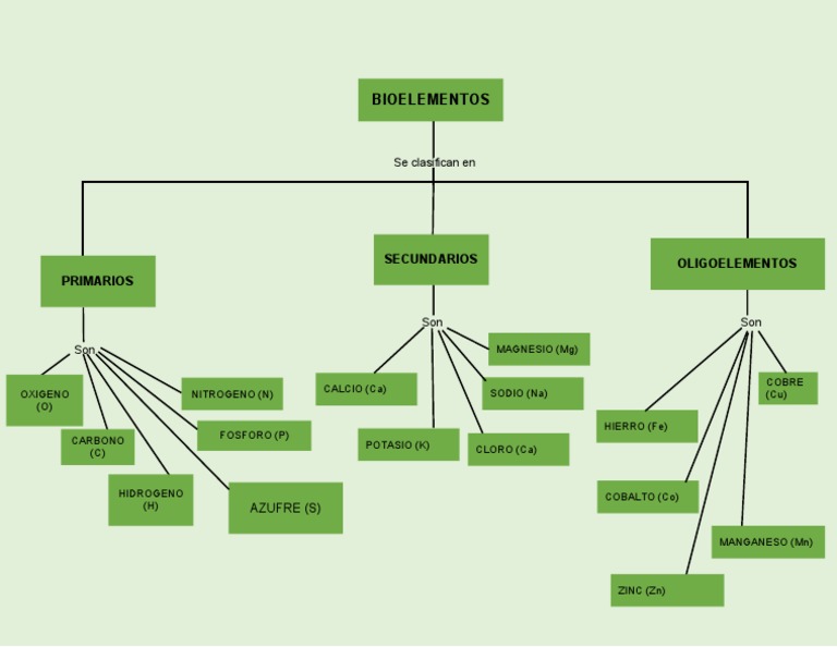 Mapa Conceptual Bioelementos | PDF