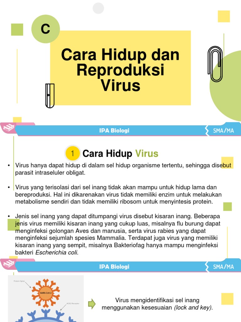 Cara Hidup dan Reproduksi Virus | PDF | Sains & Matematika