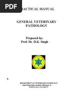 Necropsy Report | PDF | Stomach | Autopsy