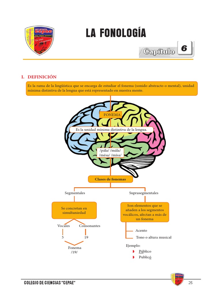 La Fonología: I. Definición | PDF | Fonema | Sílaba