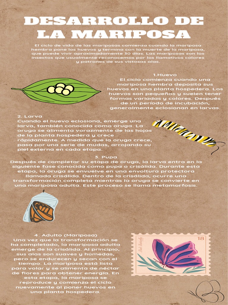 Infografía Insectos y Naturaleza Craft Beige | PDF