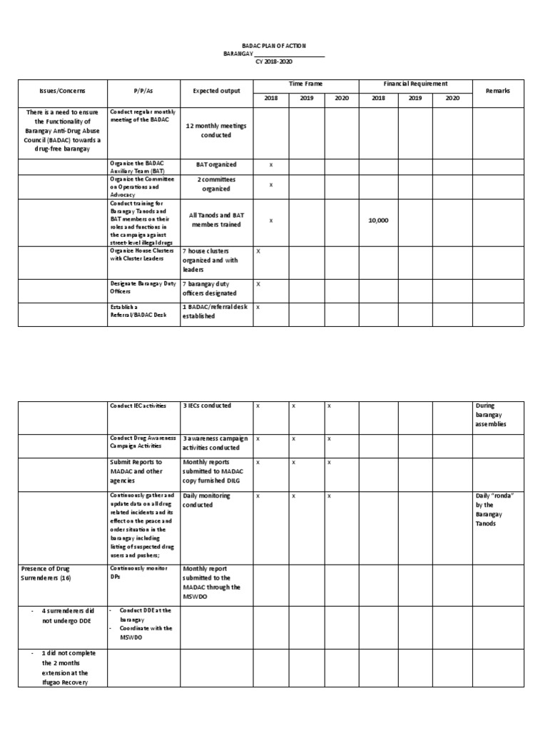 Sample Badac Plan of Action | PDF