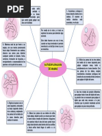 CAPÍTULO 17 - Prurigo Por Insectos (Cimiciasis) | PDF | Insecticida ...