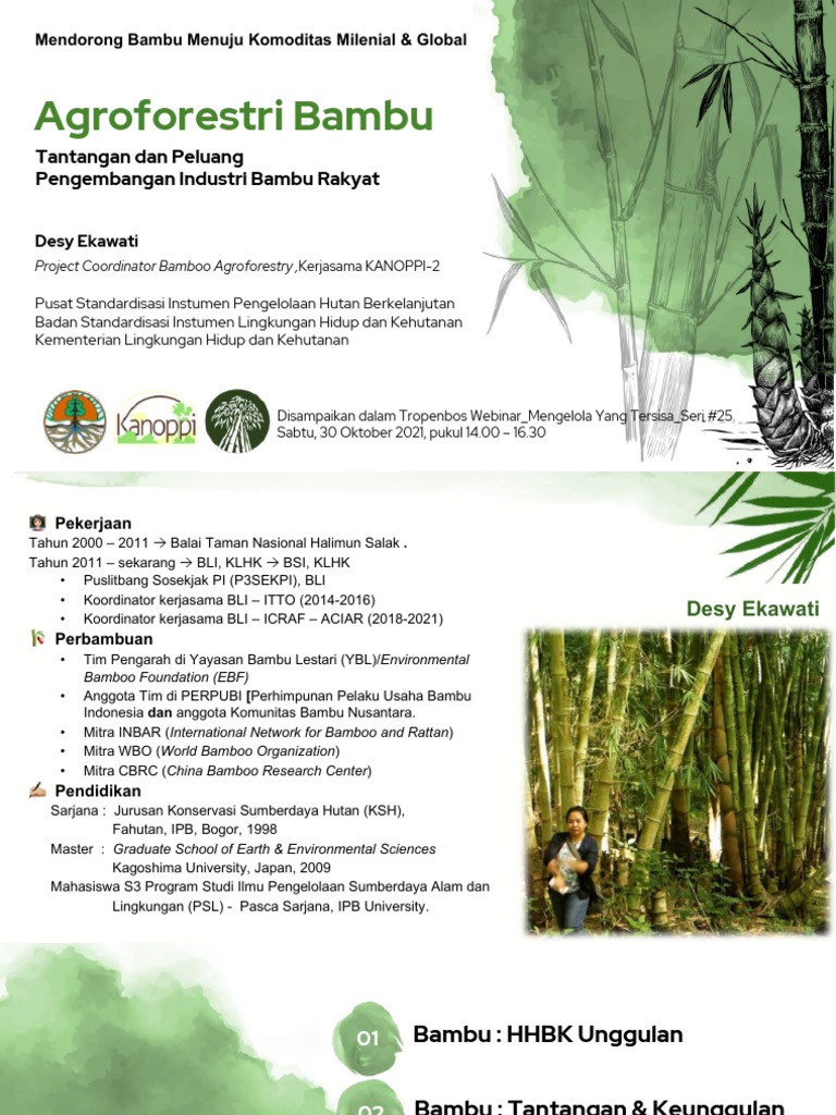 Bamboo Agroforestry - Tropenbos - DesyEkawati - BSI-KLHK | PDF