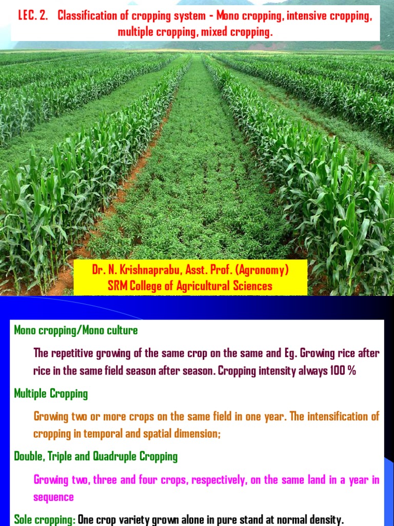 Age19403-Lec 2 | PDF | Agriculture | Crop Rotation