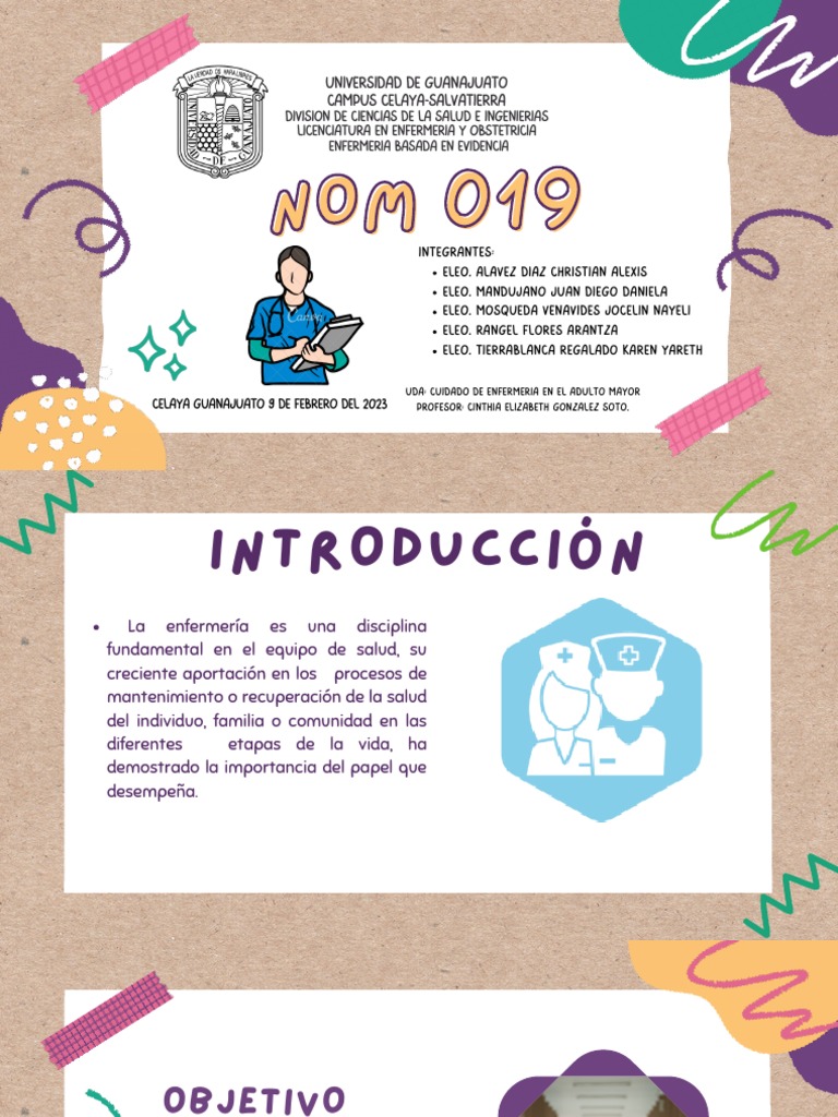 NOM 019 presentación | PDF