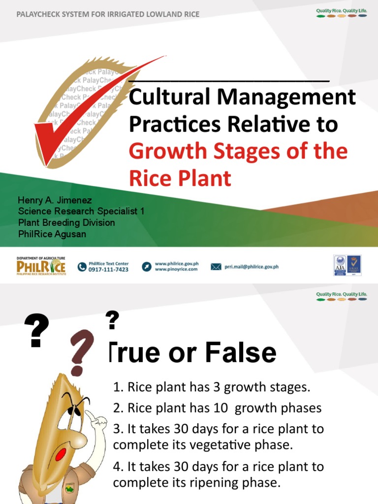 Cultural Management Practices Relative To Growth Stages.1 | Download ...