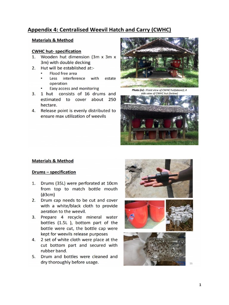 Centralised Weevil Hatchery | PDF