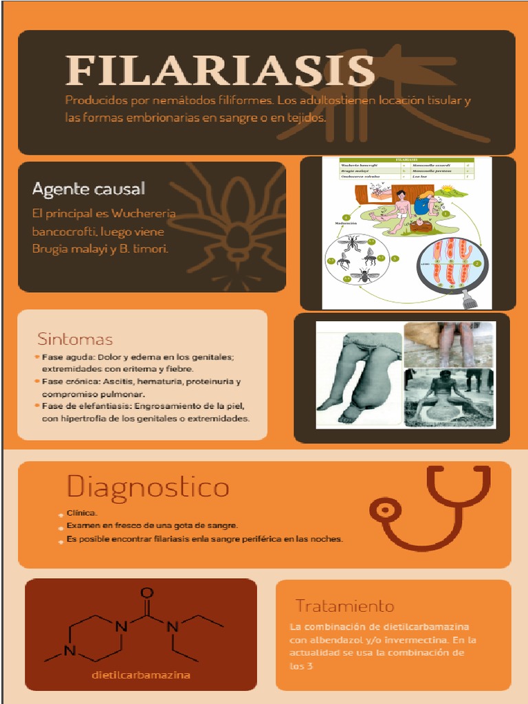Filariasis - Infografía | PDF