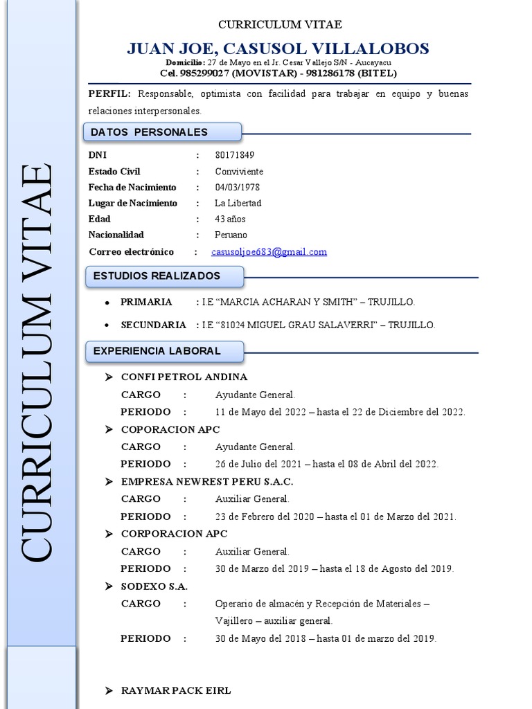 Curriculum Vitae JUAN JOE CASUSOL VILLALOBOS | PDF