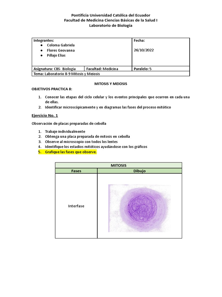 LAB 8-9 Mitosis y Meiosis | PDF | Mitosis | Mitosis